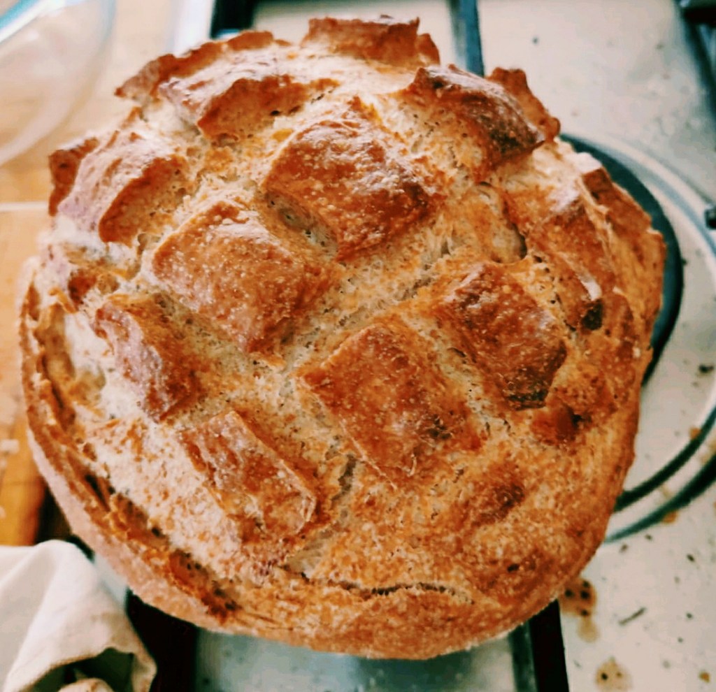 Getting a great crust on bread – Vikki Haffenden